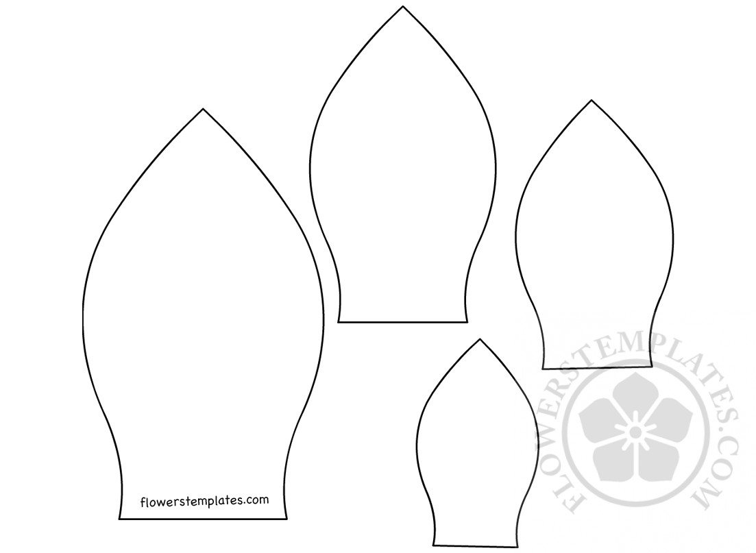 Diy Giant Paper Flower Templates Flowers Templates