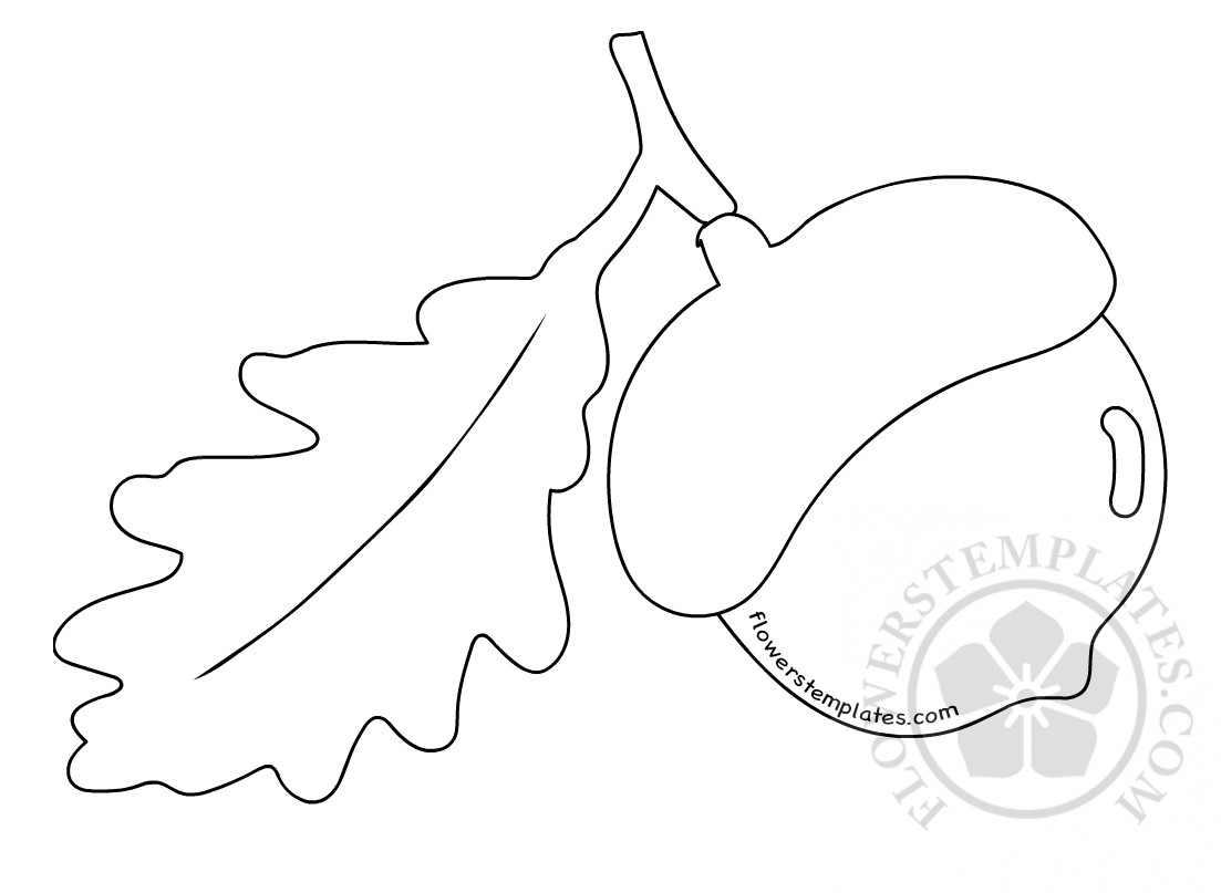 Acorn And Leaf Template