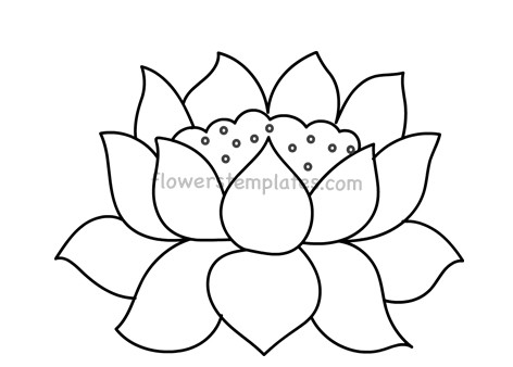 lotus-3 – Flowers Templates