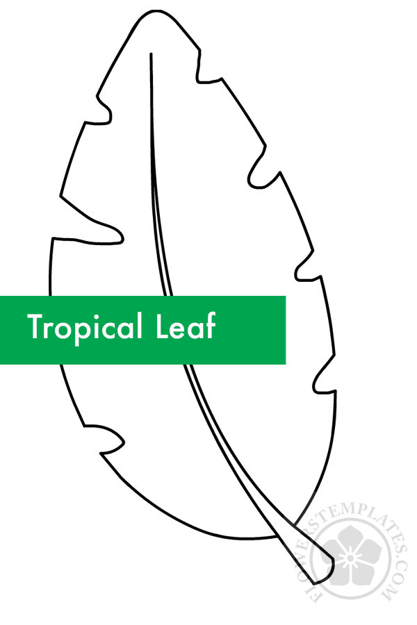 Tropical Leaf Outline Flowers Templates