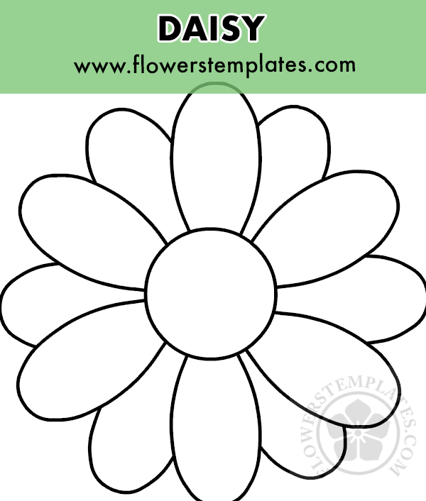 Daisy Archives Flowers Templates